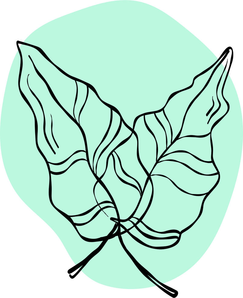 Free Two Leaves Plant Drawing SVG - Mediamodifier