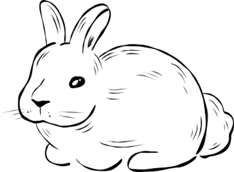 Free Rabbit Outline SVG - Mediamodifier