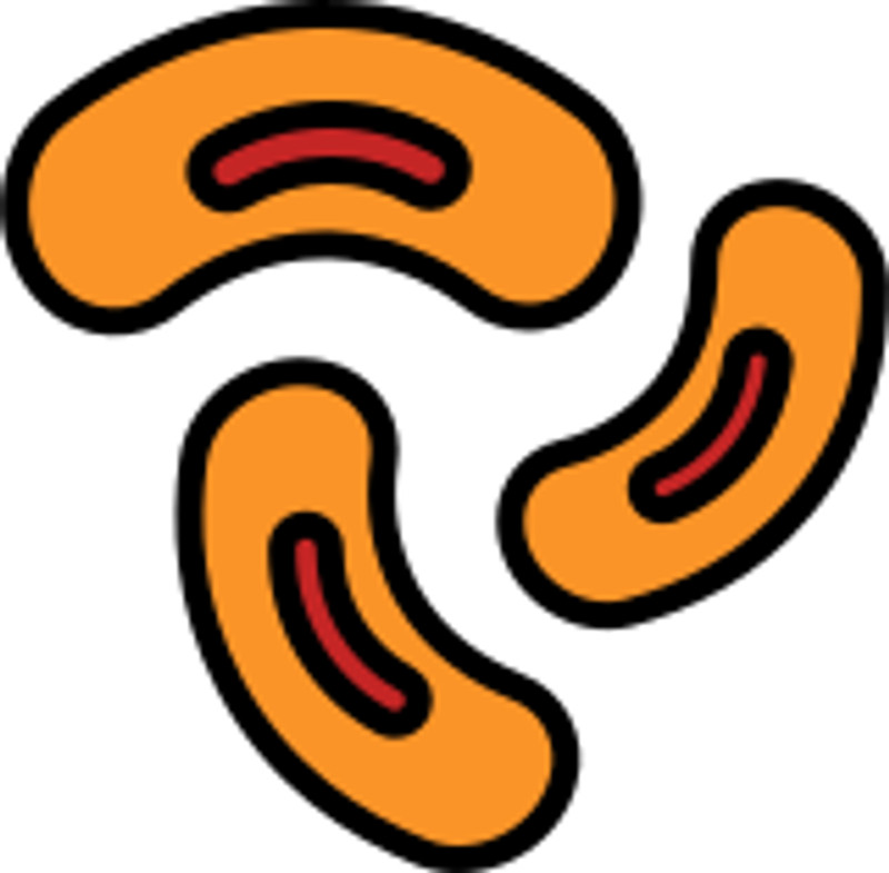 Free Beans Drawing SVG - Mediamodifier