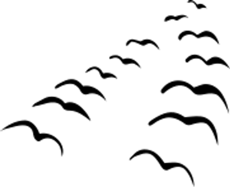 Free Bird Flock Drawing SVG - Mediamodifier