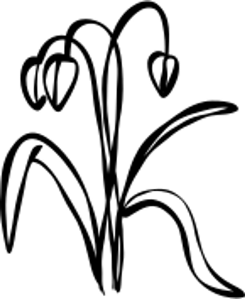 Free Spring Flower Outline SVG - Mediamodifier