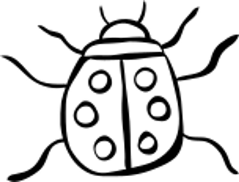 Free Ladybug Outline SVG - Mediamodifier