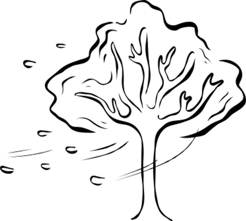 Free Autumn Tree Outline SVG - Mediamodifier