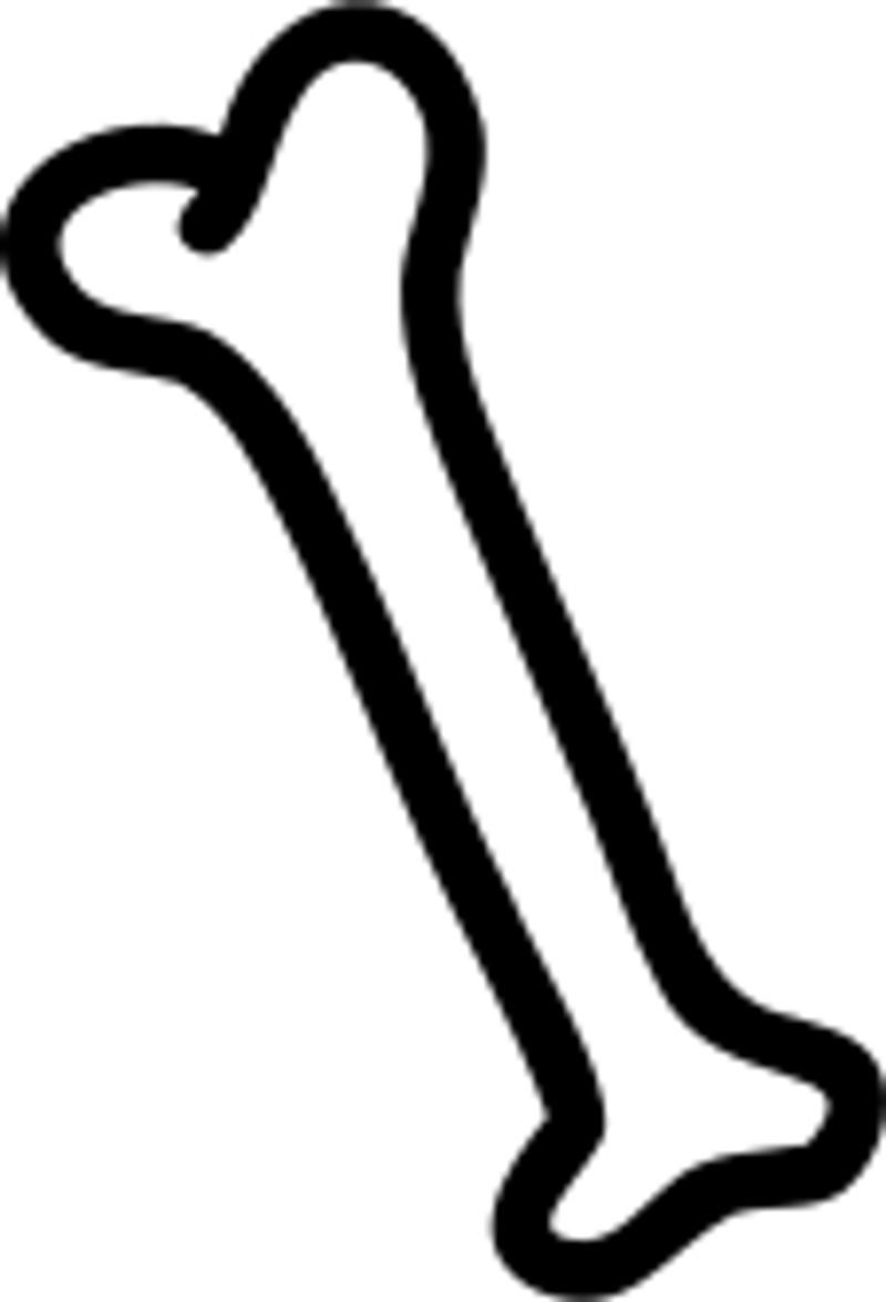 Free Bone Outline SVG - Mediamodifier