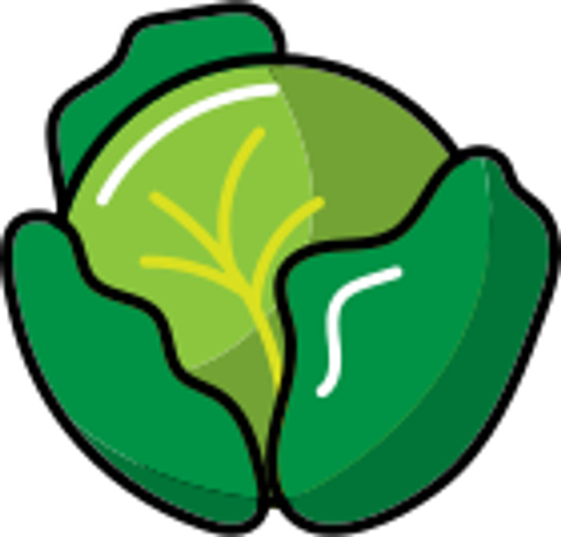 Free Cabbage Illustration SVG - Mediamodifier