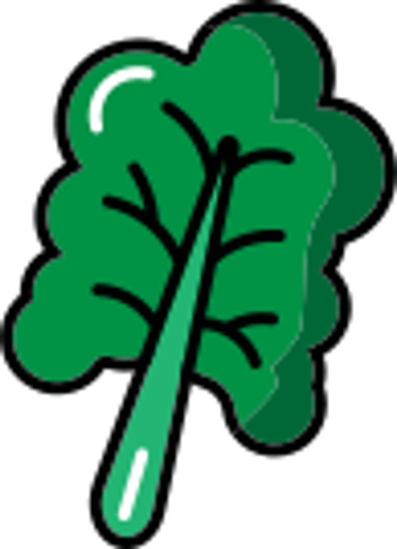 Free Kale Illustration SVG - Mediamodifier